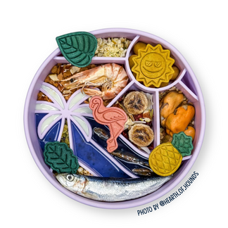 Loco Coco Interactive Slow Feeder Bowl – Happy Dingos